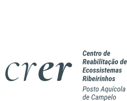 CRER – Centro de Reabilitação de Ecossistemas Marinhos – Centro de ...